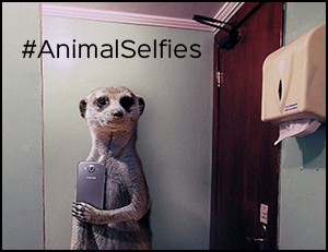 17 Animal Selfies That Will Leave Smiles On Everyone’s Faces - The All My Faves Blog