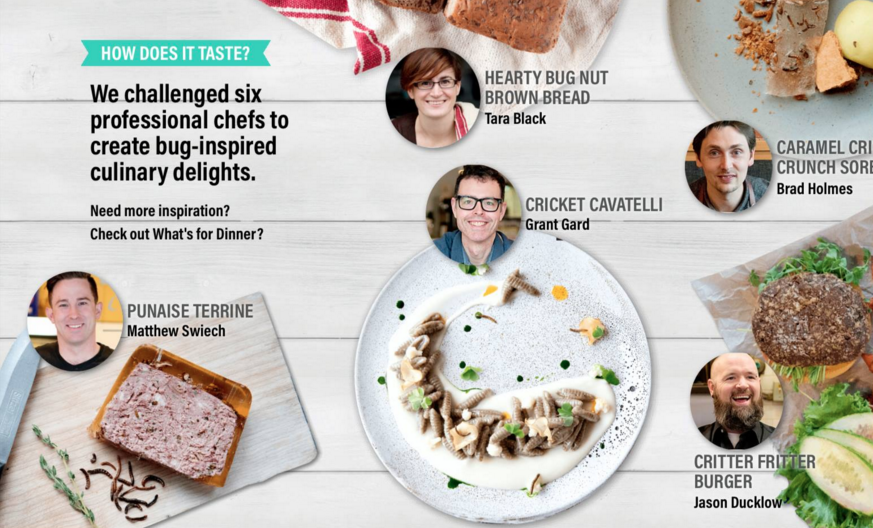 Bugs on the Menu: The World of Entomophagy - The All My Faves Blog