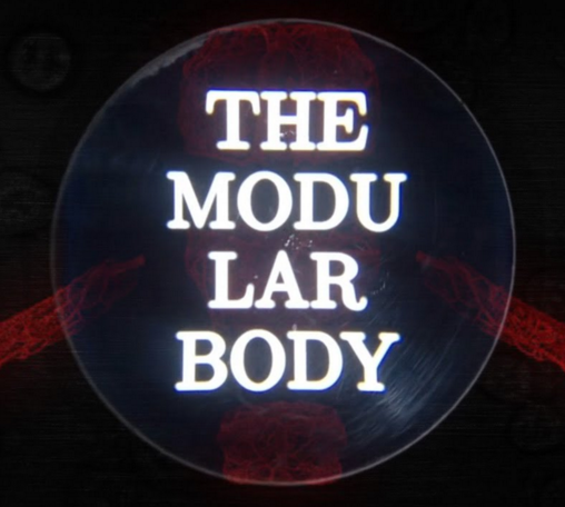 The Modular Body - The All My Faves Blog