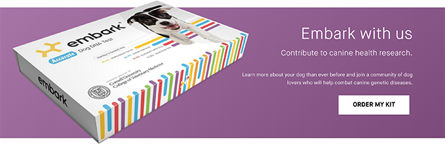 Embark: Dog DNA Test - The All My Faves Blog