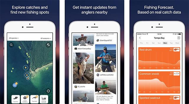 Fishbrain: Love Fishing More - The All My Faves Blog