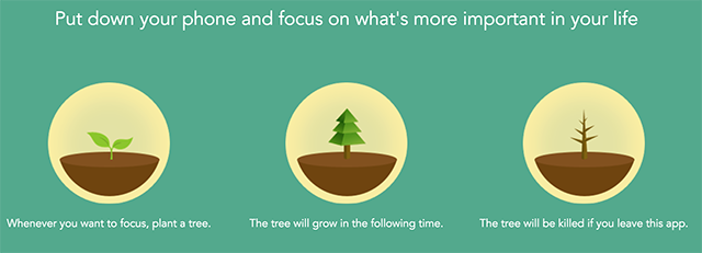 Forest: Stay Focused, Be Present - The All My Faves Blog