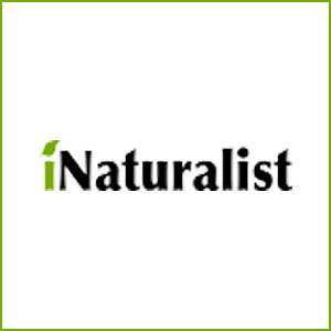 iNaturalist: Connect With Nature - The All My Faves Blog